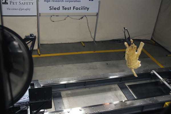 dynamic_slide-8 - Center for Pet Safety