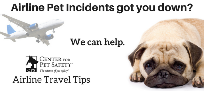 Welcome to the Science of Pet Safety!